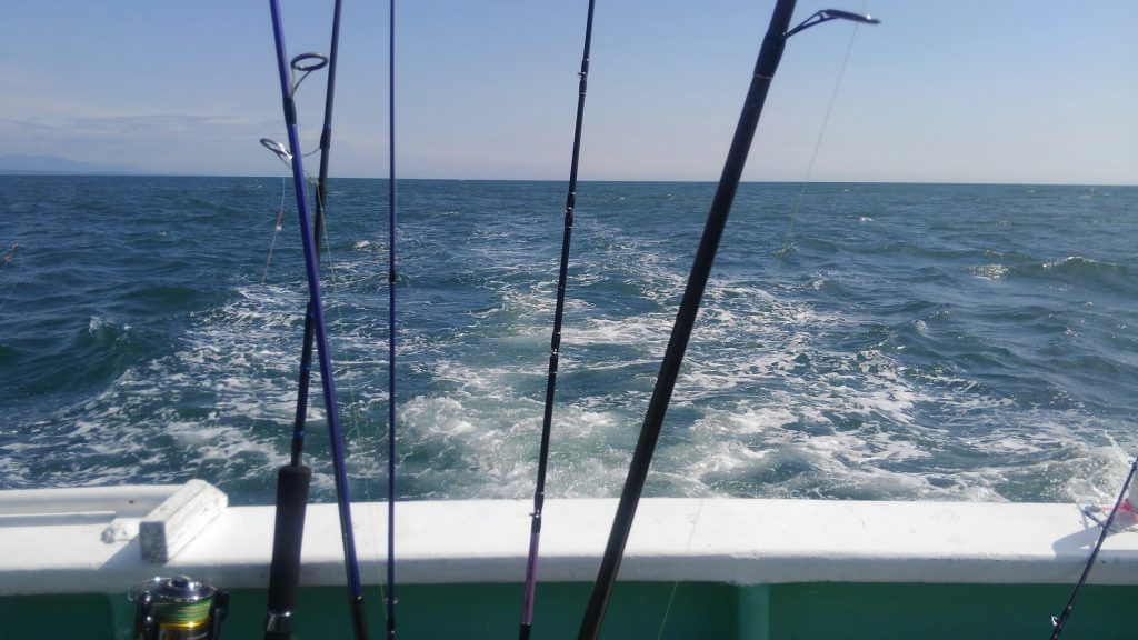 私が最近最もよく投げてるビッグペンシル。ダイワ「モアザン モンスタースライダー 160F」のインプレ | webinthelife