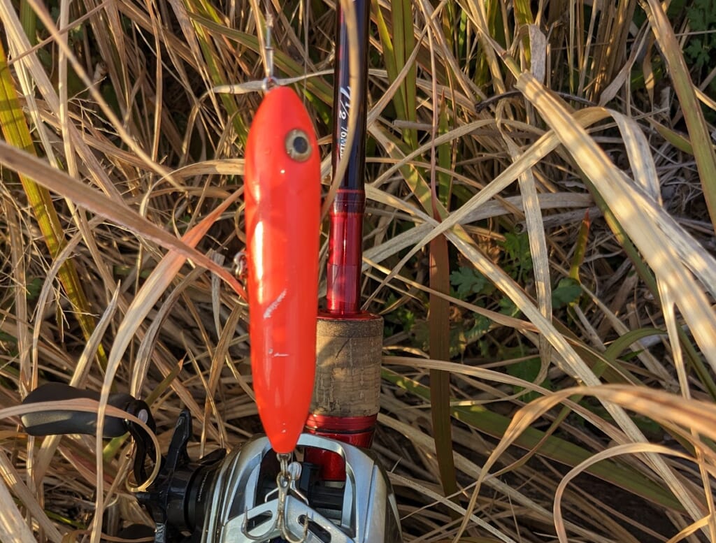 予想を大幅に超えて「良い」と言える、ダイワ「23エアリティ」のファーストインプレ | webinthelife.com